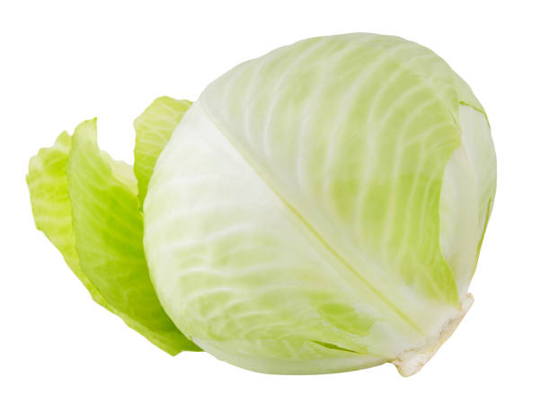 REPOLLO Grande (U) – The Cooking Factory